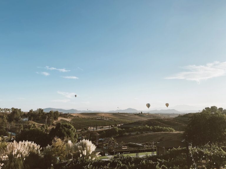 Fun Things to do in Temecula, California – A First Timer’s Guide to the ...