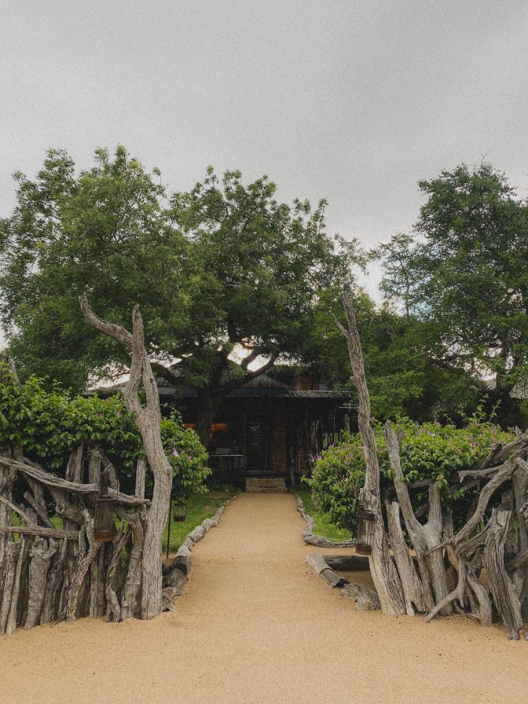 Luxury Safari Review: Baobab Ridge, Kruger National Park - Discover ...