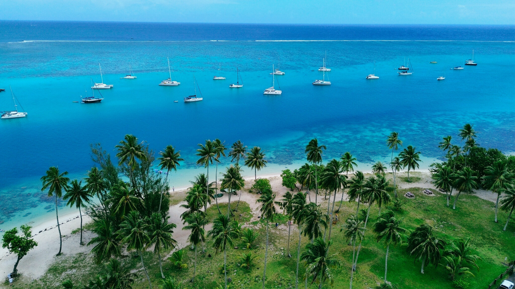 Best Things to Do in Mo'orea for First-Timers (2026)